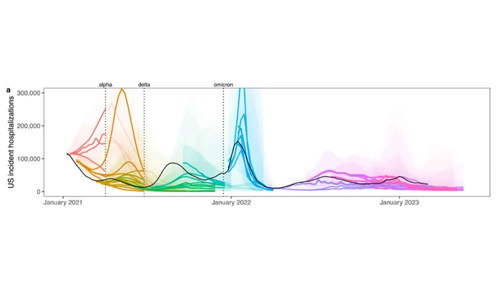 Many models are better than one for COVID-19 scenario projections ...