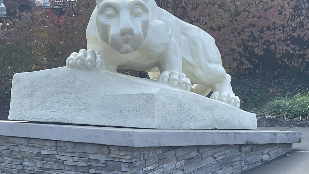 Nominations still open for 'Paws Up' award at Penn State York | Penn ...