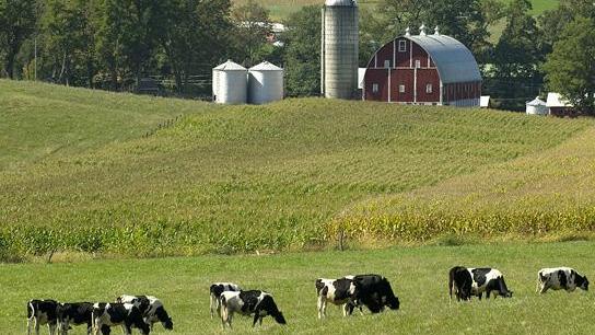 Pennsylvania 'Dairy of Distinction' award applications are due by April ...