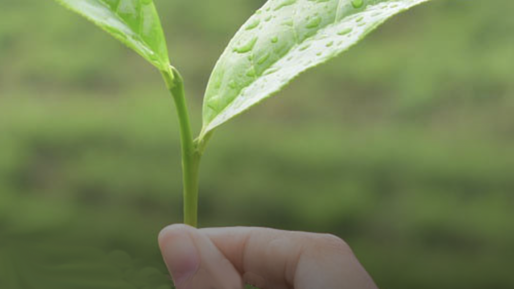 Novel, interdisciplinary training program launched for doctoral degree ...