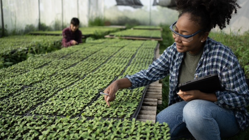 Penn State Sustainability to host environmental-oriented career webinar ...