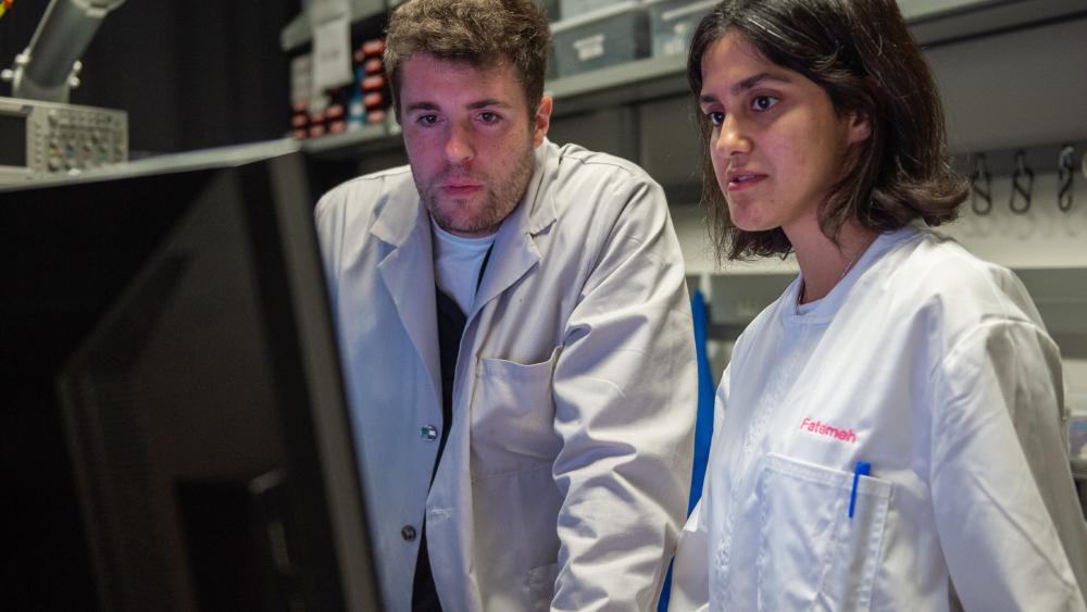 Summer Translational Cardiovascular Science Institute now accepting ...