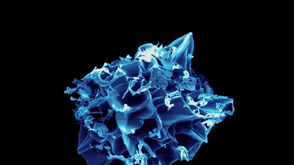Winners announced for 16th annual Materials Visualization Competition ...