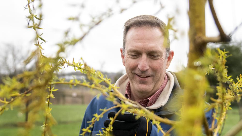 Cultivating the next 'Old Willow' | Penn State University