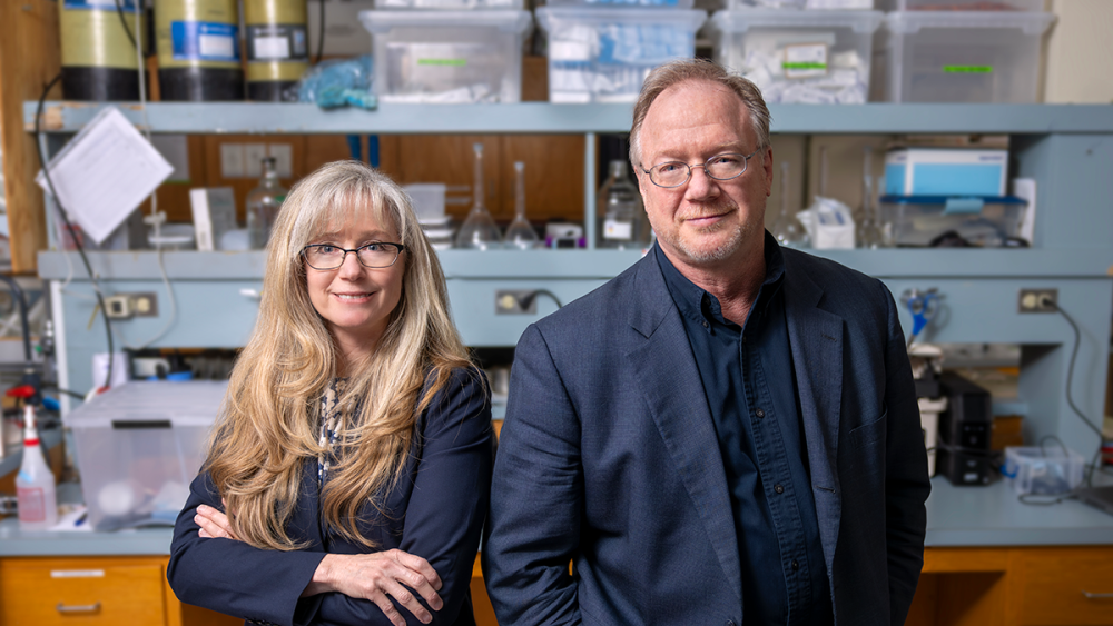 Q&A: Can weight loss drugs help in addiction treatment? | Penn State ...