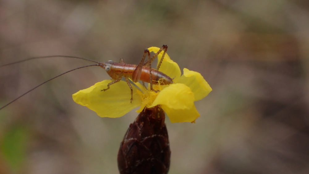 Katie Bohn - Journalist Profile - Intelligent Relations