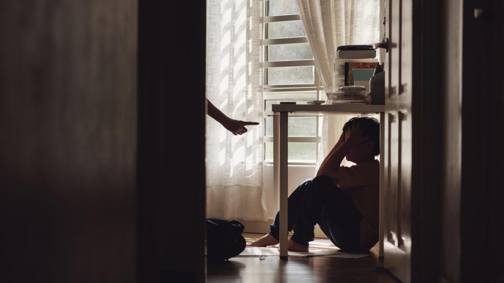 Understanding how behavior problems are related to child abuse and ...