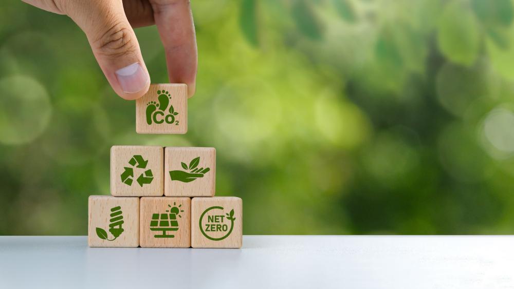 USDA to fund analysis of how U.S. businesses approach decarbonization ...