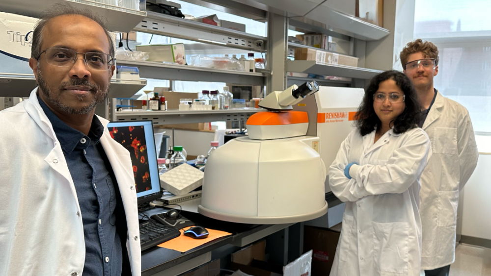 ‘Better than graphene’ material development may improve implantable ...