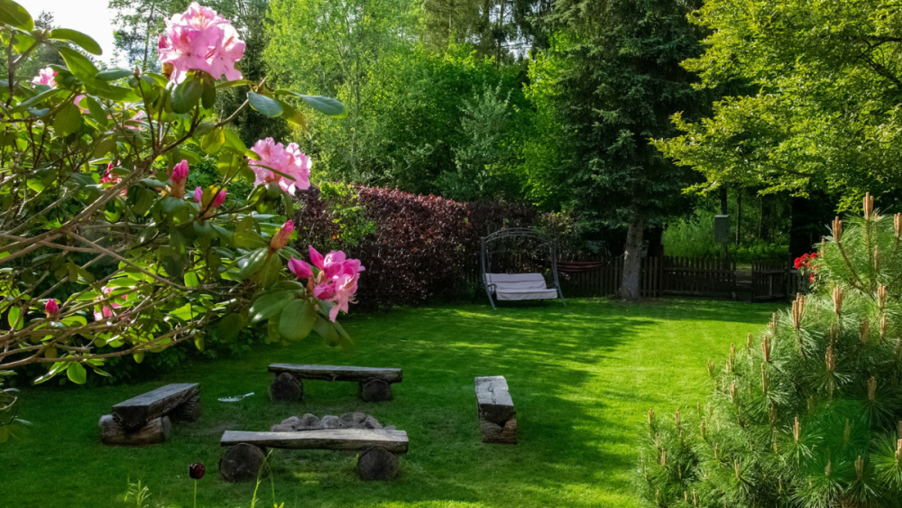 Katie Bohn - Journalist Profile - Intelligent Relations