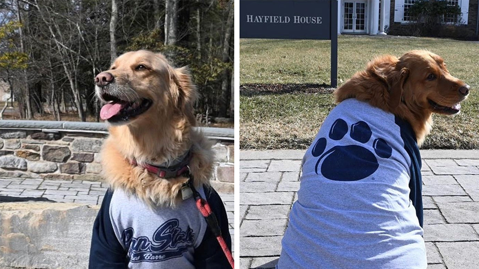 Fur real: Dogs bring joy to community at Penn State Wilkes-Barre | Penn ...