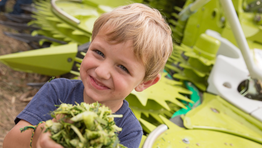 Katie Bohn - Journalist Profile - Intelligent Relations