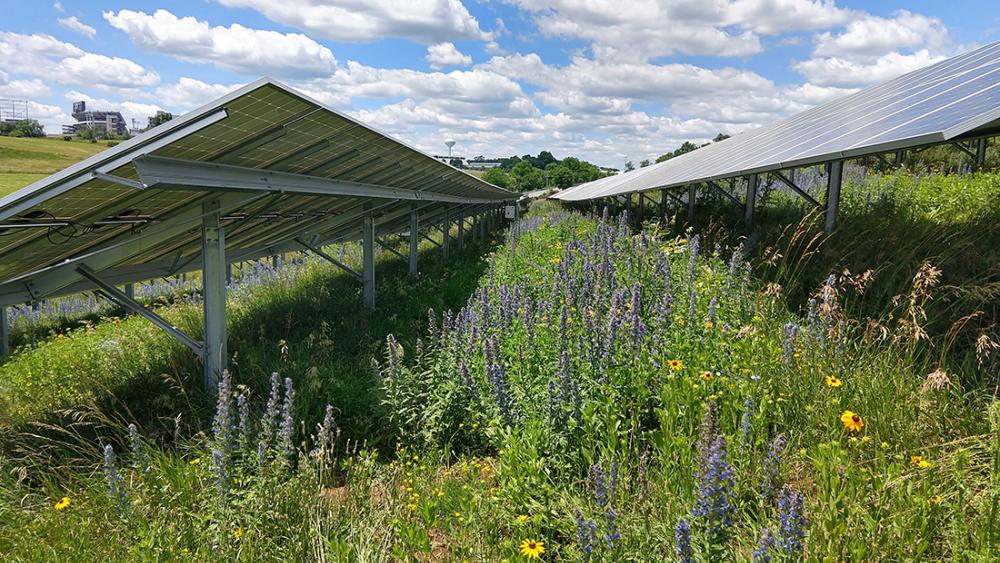 Solar farms with stormwater controls mitigate runoff, erosion, study ...