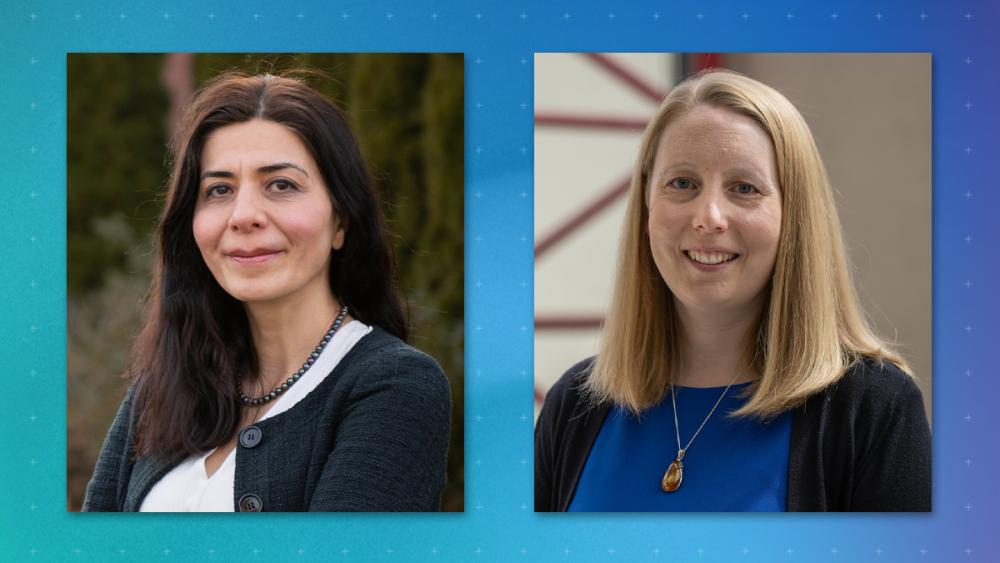 Two engineering faculty members named fellows of STEM leadership ...
