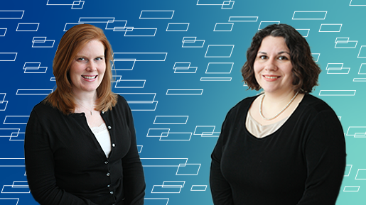 Penn State Law faculty present at national law libraries association ...
