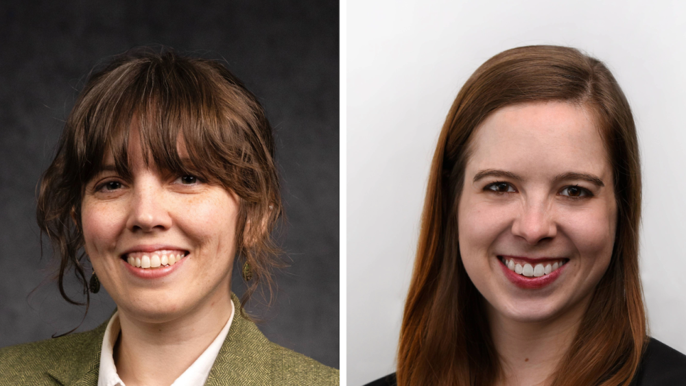 Two Penn State librarians honored by Pennsylvania Library Association ...