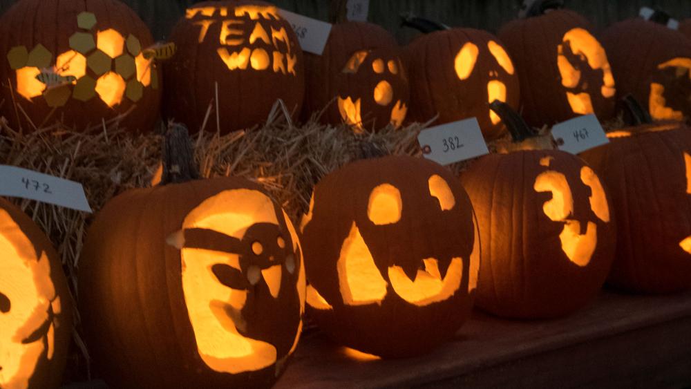 Arboretum celebrates Pumpkin Fest 2024 with expanded hours and ...