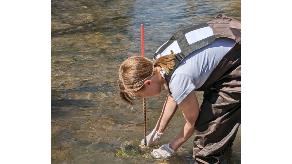 Alternate stream water-testing method detects emerging contaminants ...