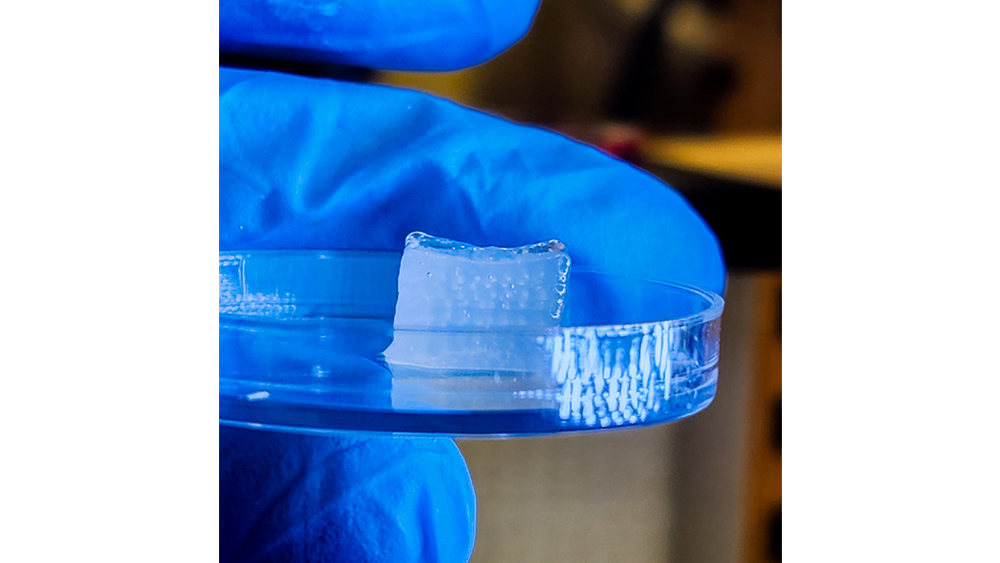 New bioprinting technique creates functional tissue 10x faster | Penn ...