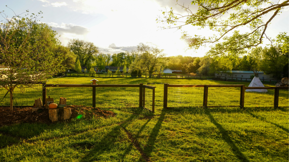 Tick tubes help reduce the parasites on mice, but time and frequency ...