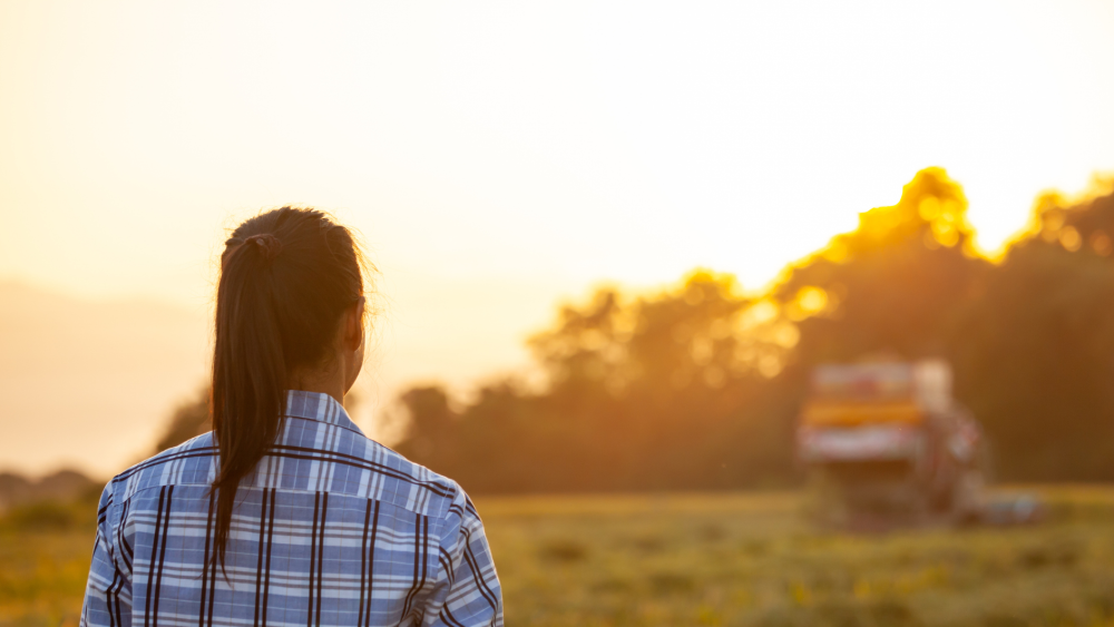 ‘Triple burden’ of invisible labor major stressor for farm women, study ...