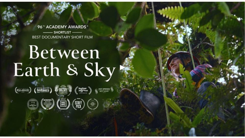 Penn State Sustainability Hosts Online Films Depicting Stories Of