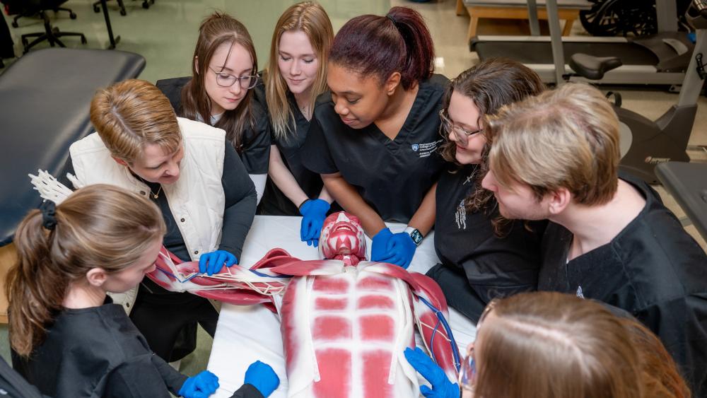 Realistic anatomy model enriches learning at Penn College | Penn State ...
