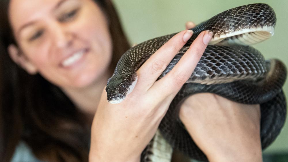 Connecting people to nature and each other at Shaver’s Creek | Penn ...