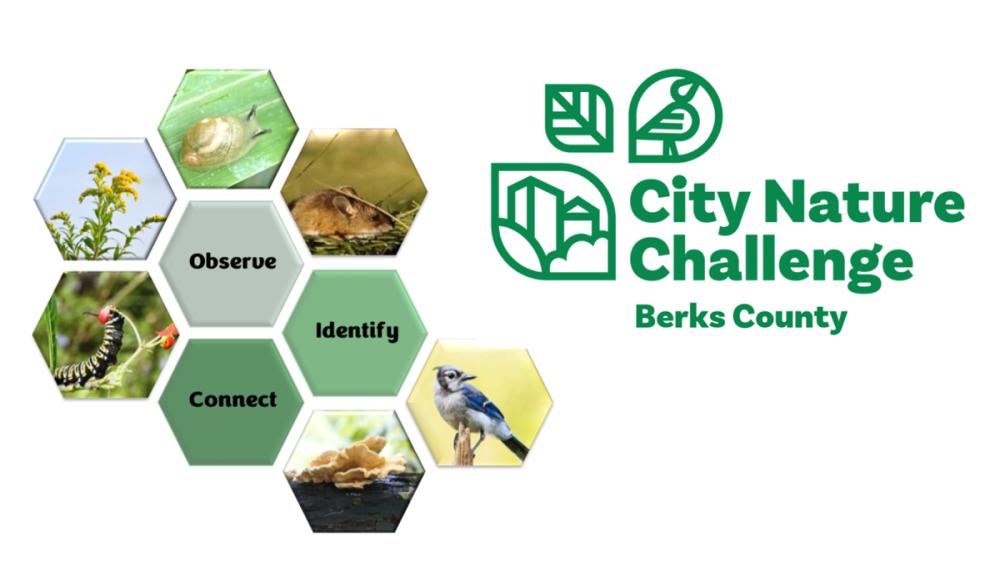 Penn State Berks joins City Nature Challenge on April 27 | Penn State ...