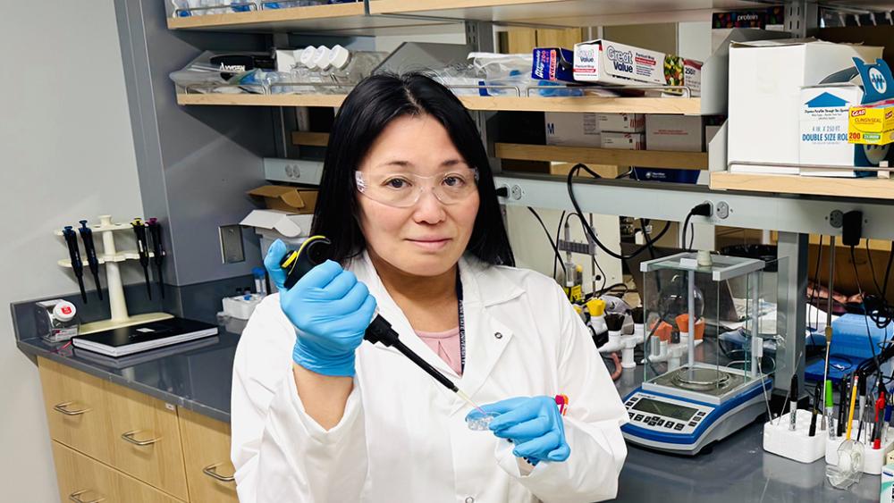 ‘Patchy’ thermogels show next-gen biomedical material potential ...