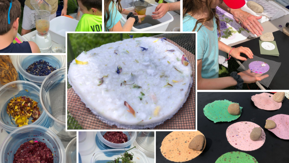 Libraries’ Conservation Centre, Arboretum papermaking events return ...