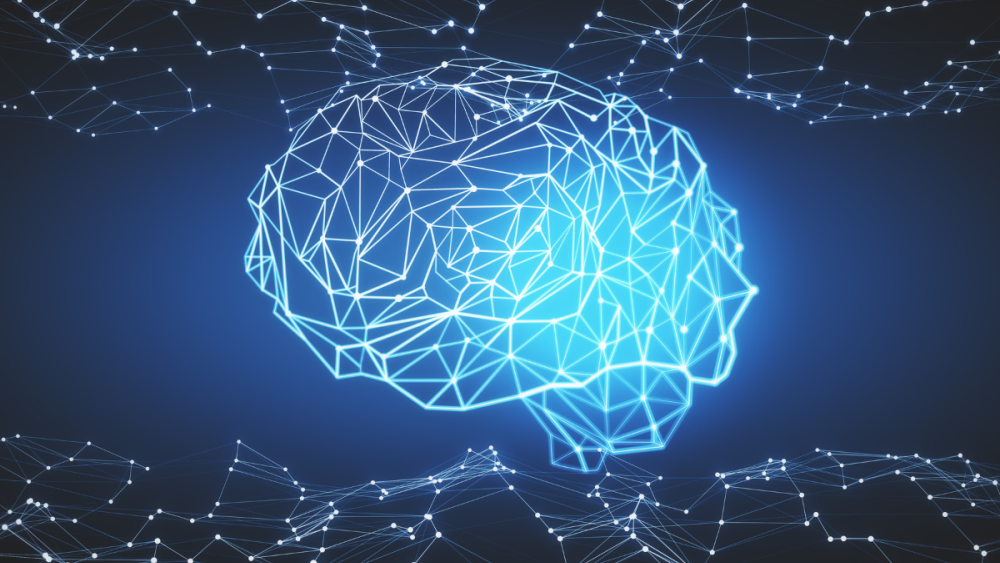 Interdisciplinary program announces funding opportunities for rising ...