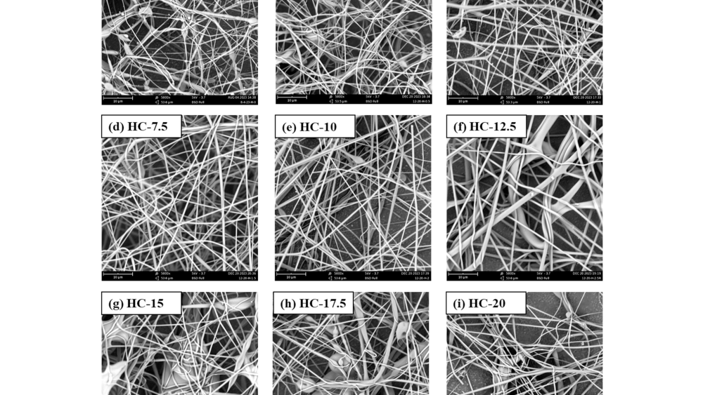 Edible, biodegradable fibers made from milk protein, cellulose | Penn ...
