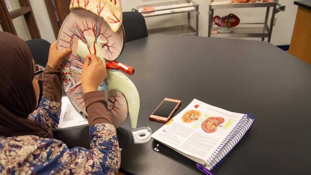 Penn College summer program welcomes pre-health students | Penn State ...