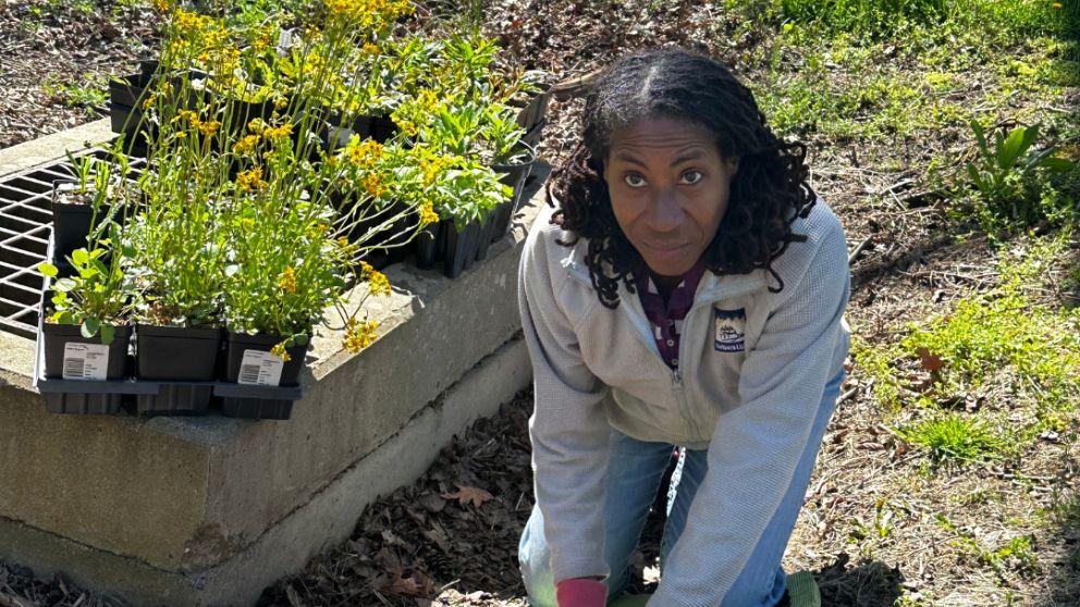 Master Watershed Steward Rose Johnson brings a green thumb to ...