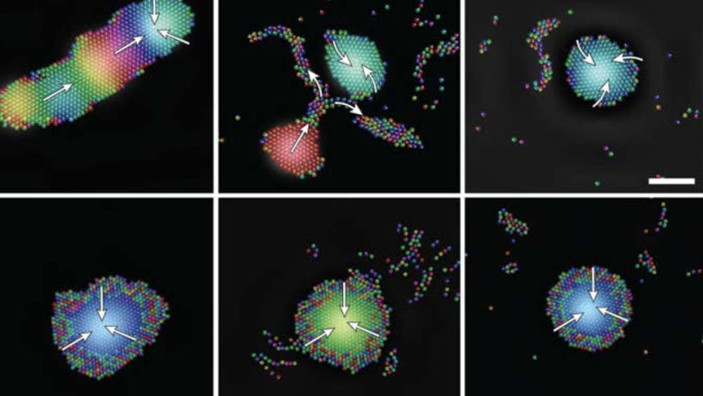 Tiny robots use sound to self-organize into intelligent groups | Penn ...
