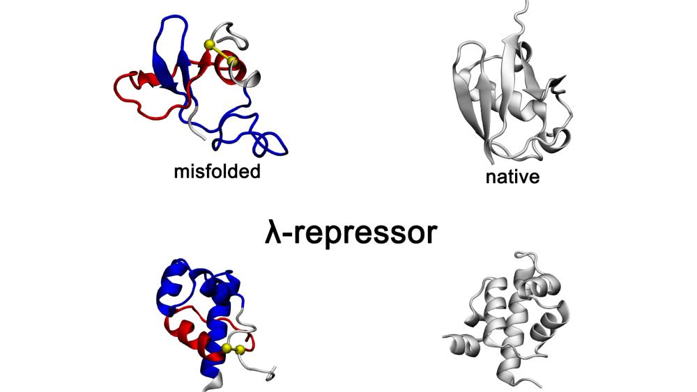 New class of protein misfolding simulated in high definition | Penn ...