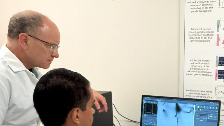 New major in systems neuroscience focuses on neural systems, influence ...