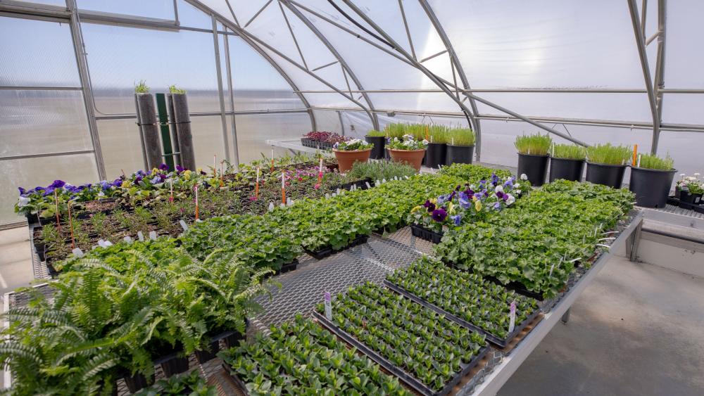 Center for Plant Excellence announces grant award recipients | Penn ...