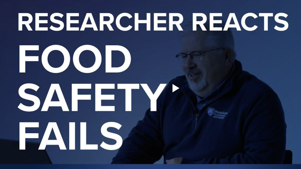 Video: Food safety expert dishes out kitchen crockery for the holidays ...