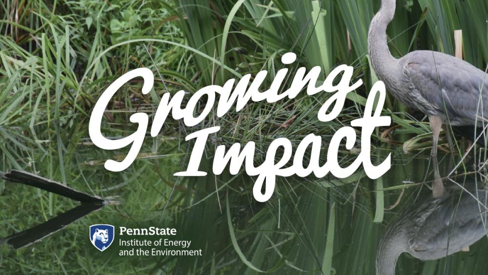 ‘Growing Impact’ podcast: How tidal marshes trap microplastics | Penn ...