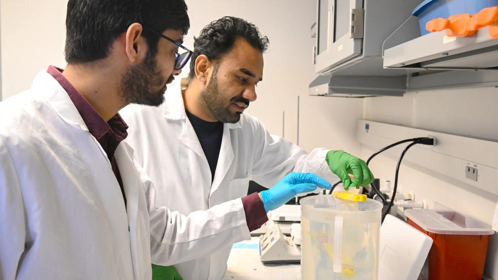 Engineering professor named American Society of Mechanical Engineers ...