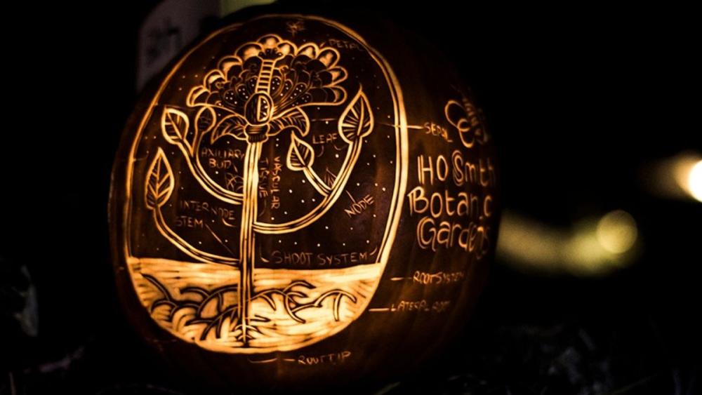 Annual Pumpkin Festival returns to The Arboretum at Penn State on Oct ...