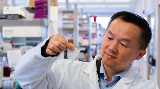 Engineering professor named fellow of Biomedical Engineering Society ...