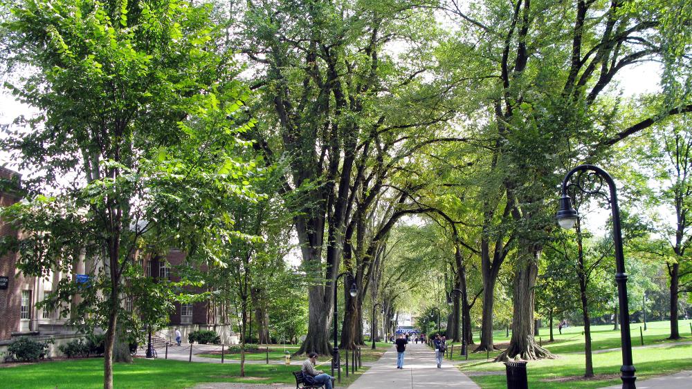 Elm tree spraying to take place July 16 and 17 on University Park ...