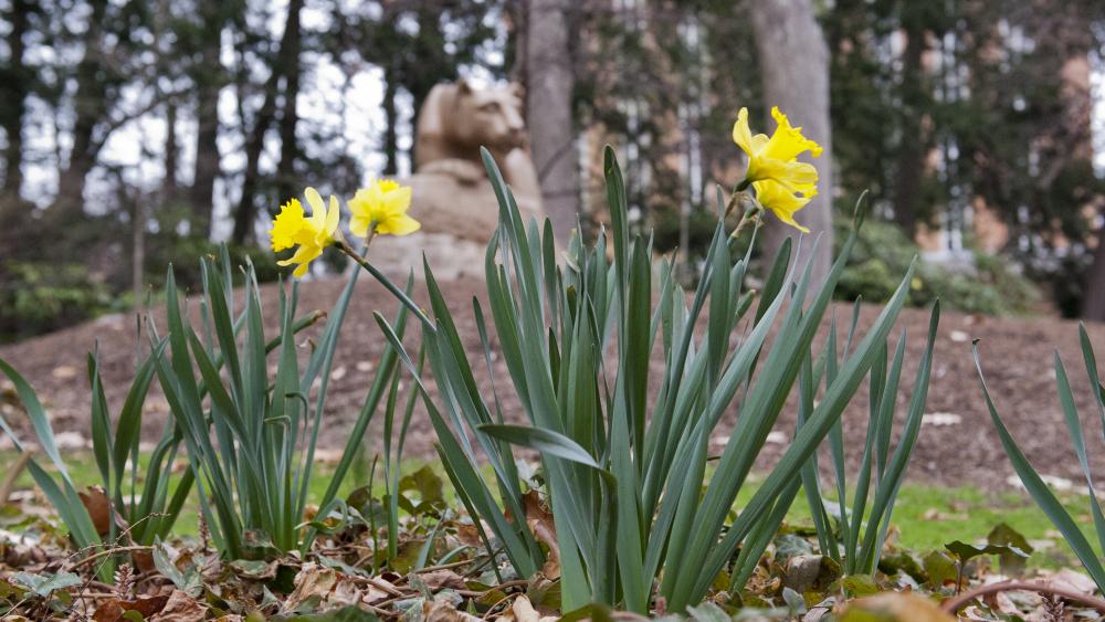 Penn State campuses to hold spring commencement ceremonies May 6-8 ...