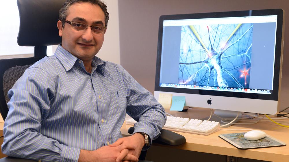 $1.8M NIH grant will support study of nervous system's underlying ...