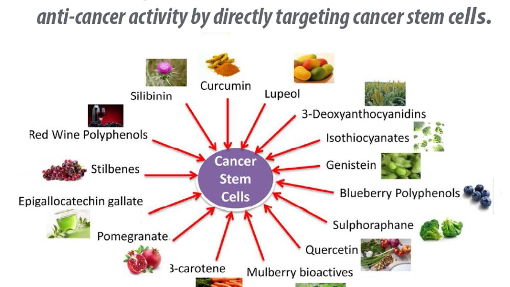 Fruits, vegetables, 'farm-to-fork continuum' vital to cancer prevention ...