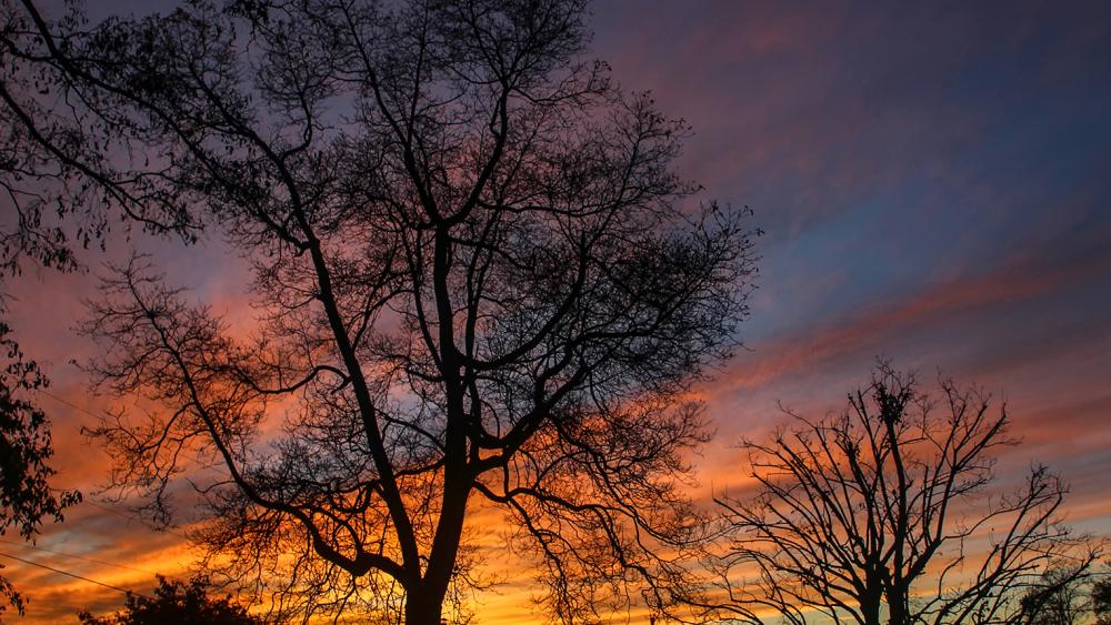 Local camera club, artists showcase works in New Kensington gallery ...