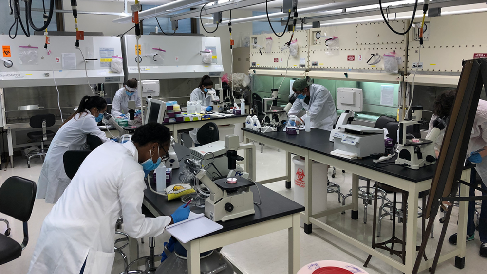 A new approach to undergraduate research | Penn State University